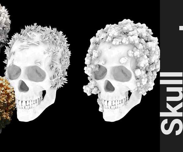ArtStation - Set of skulls with scatter crystals | Artworks