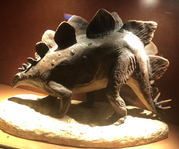 ArtStation - Animal References | Resources