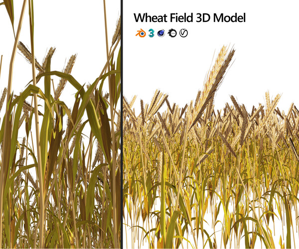 ArtStation - Yellow wheat field | Resources