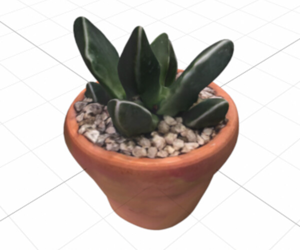 ArtStation - Cactus | Resources