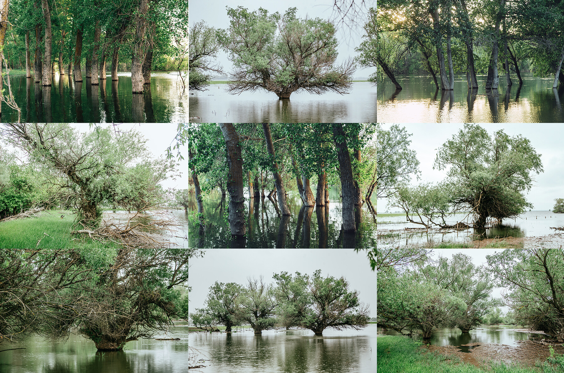 ArtStation - 750+ Flowing Rivers Reference Pictures | Resources