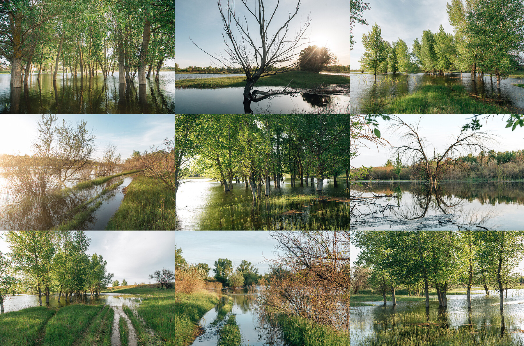 ArtStation - 750+ Flowing Rivers Reference Pictures | Resources