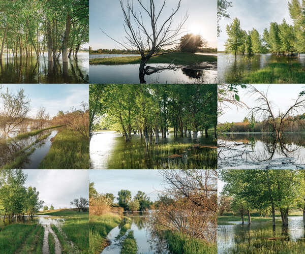 ArtStation - 750+ Flowing Rivers Reference Pictures | Resources