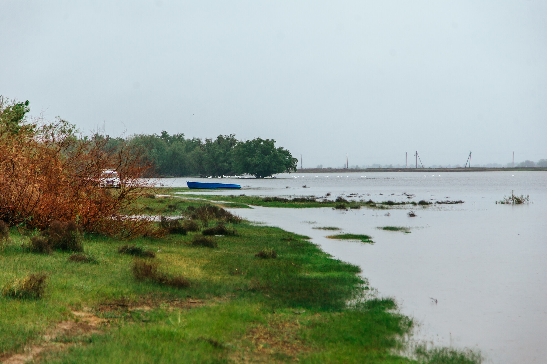 ArtStation - 750+ Flowing Rivers Reference Pictures | Resources