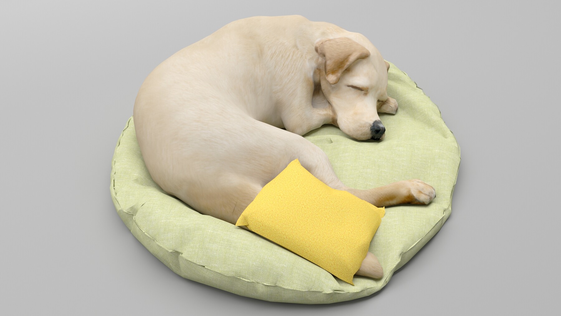 ArtStation - Dog 02_ 3d model | Resources