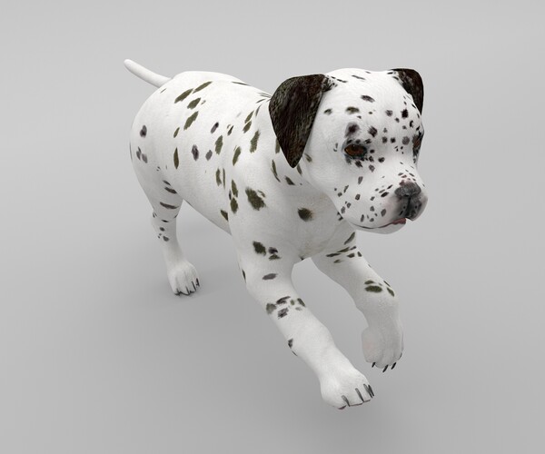 ArtStation - Dog 03_ 3d model | Resources