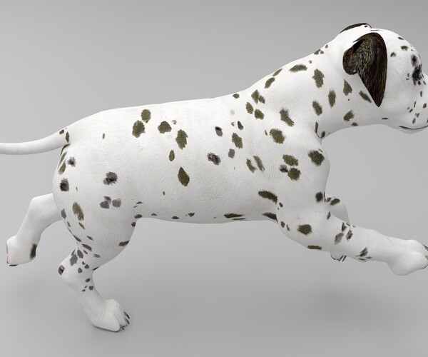 ArtStation - Dog 03_ 3d model | Resources