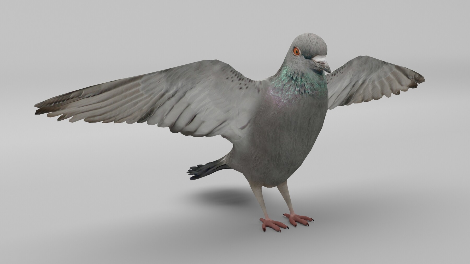 ArtStation - Bird 01_ 3d model | Resources