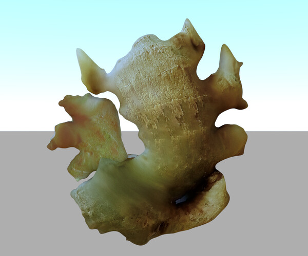 ArtStation - Ginger CG model download Ginger game assets | Resources