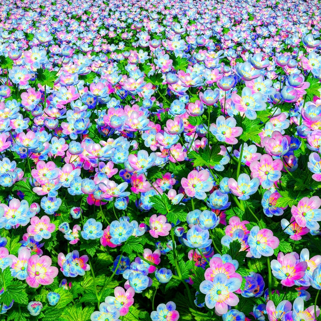 ArtStation - 3d flower asset | Game Assets