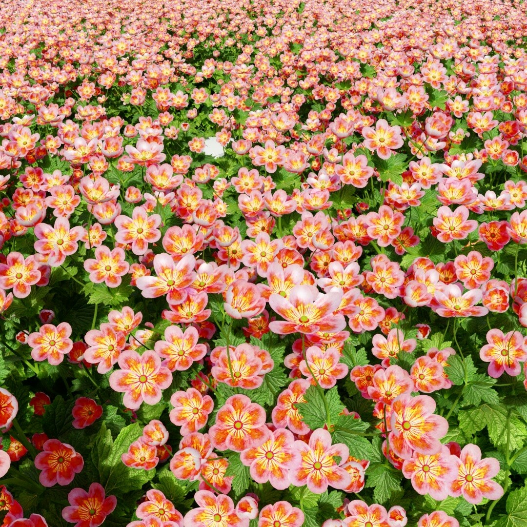 ArtStation - 3d flower asset | Game Assets