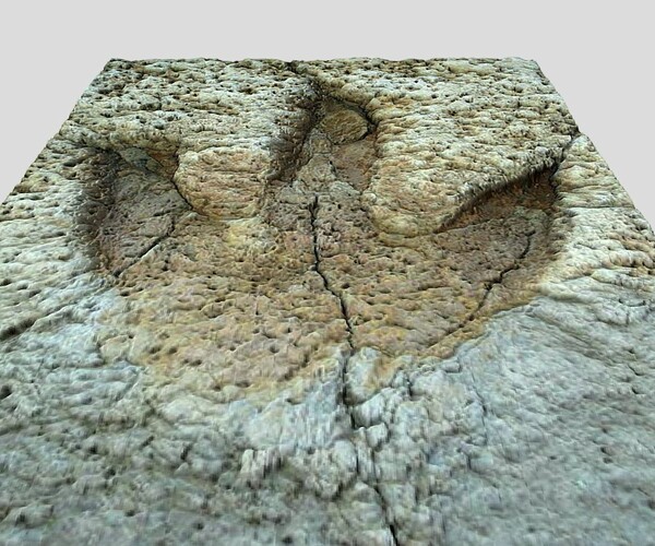 ArtStation - Tyrannosaurus Rex Footprint - fossil | Resources