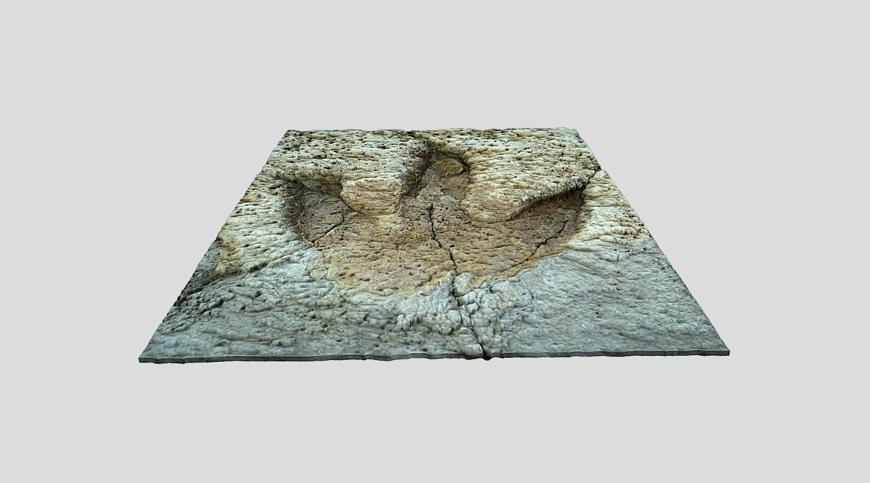 ArtStation - Tyrannosaurus Rex Footprint - fossil | Resources