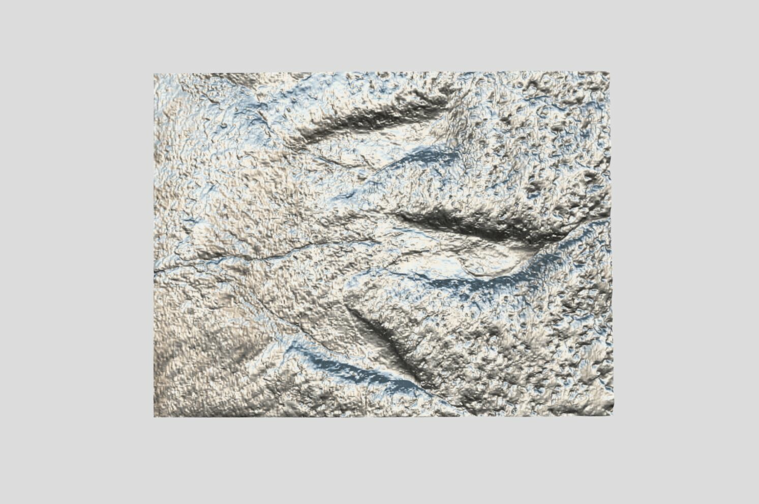 ArtStation - Tyrannosaurus Rex Footprint - fossil | Resources