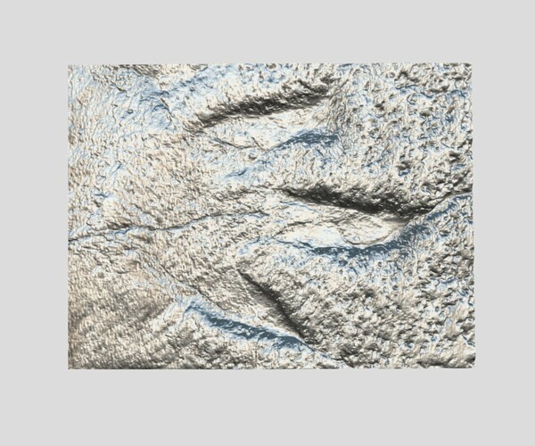ArtStation - Tyrannosaurus Rex Footprint - fossil | Resources