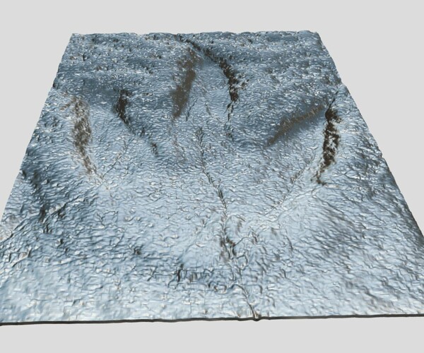ArtStation - Tyrannosaurus Rex Footprint - fossil | Resources