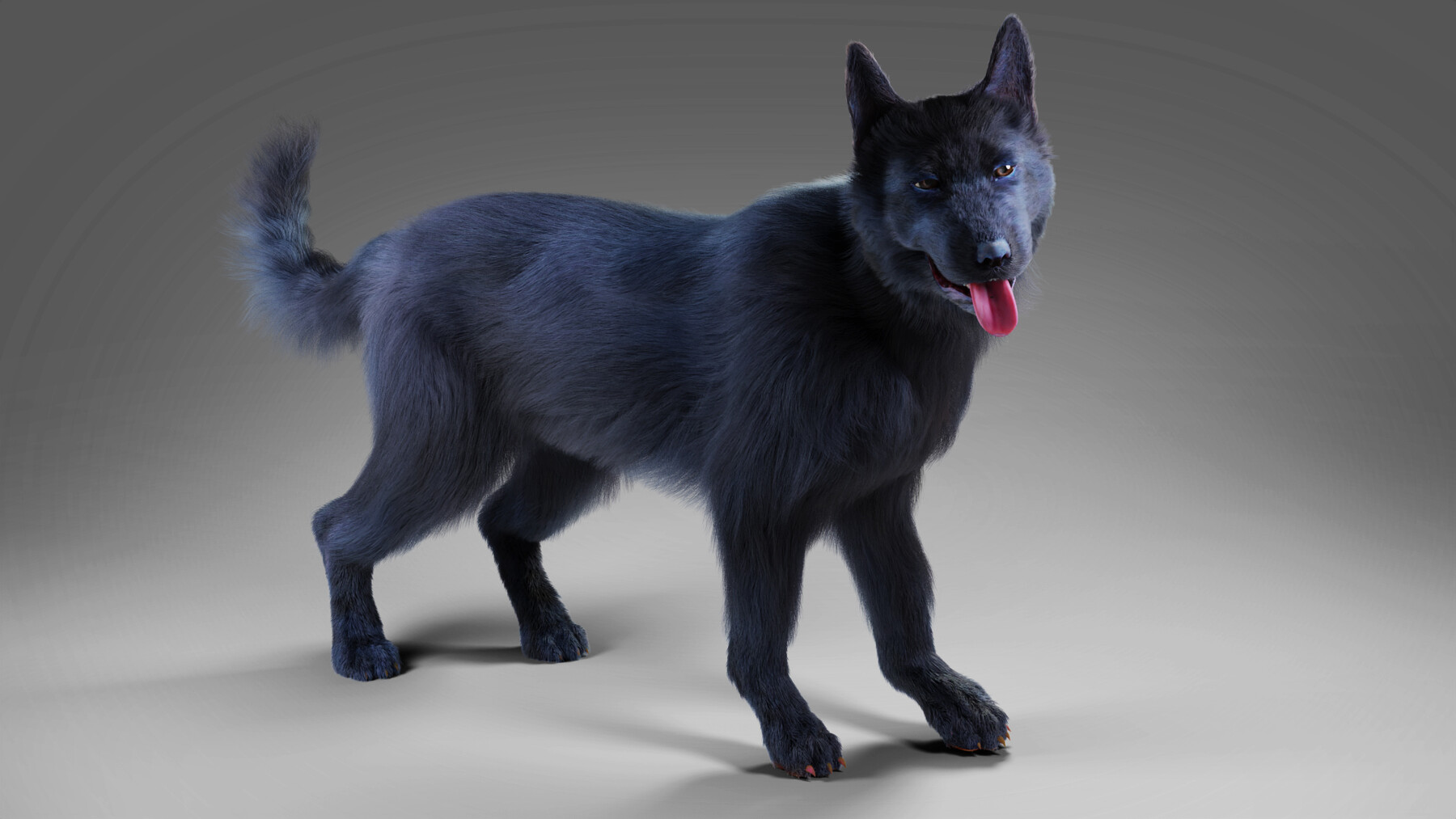 ArtStation - Fur Black Dog Rigged in Blender | Game Assets