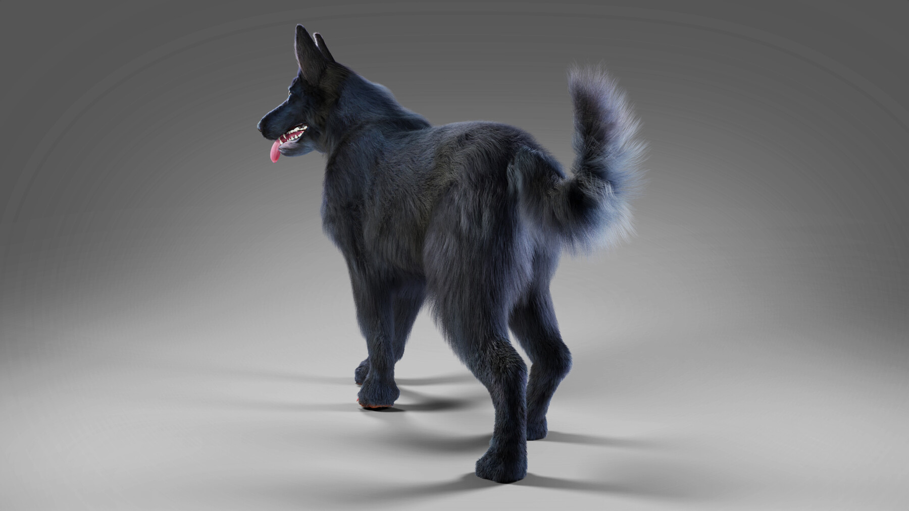 ArtStation - Fur Black Dog Rigged in Blender | Game Assets