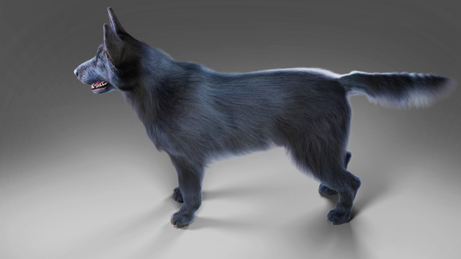 ArtStation - Fur Black Dog Rigged in Blender | Game Assets