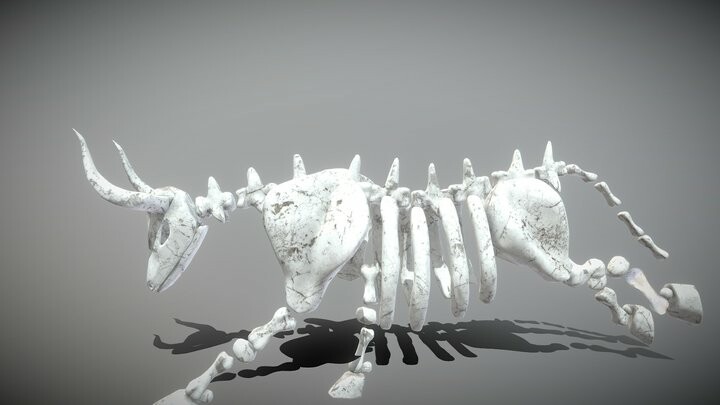 ArtStation - 3D Model - Animal Skeletons | Game Assets