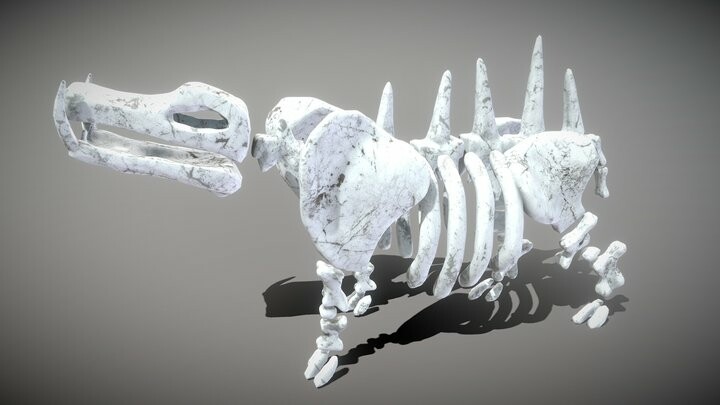 ArtStation - 3D Model - Animal Skeletons | Game Assets