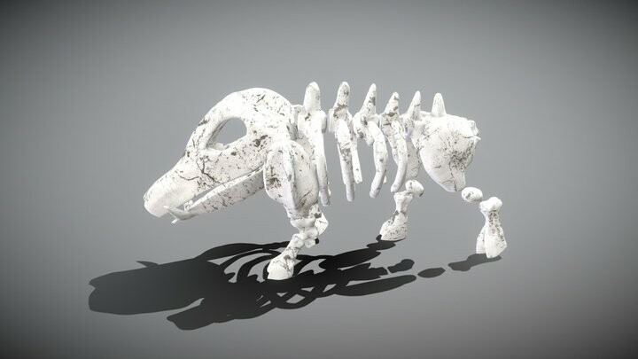 ArtStation - 3D Model - Animal Skeletons | Game Assets