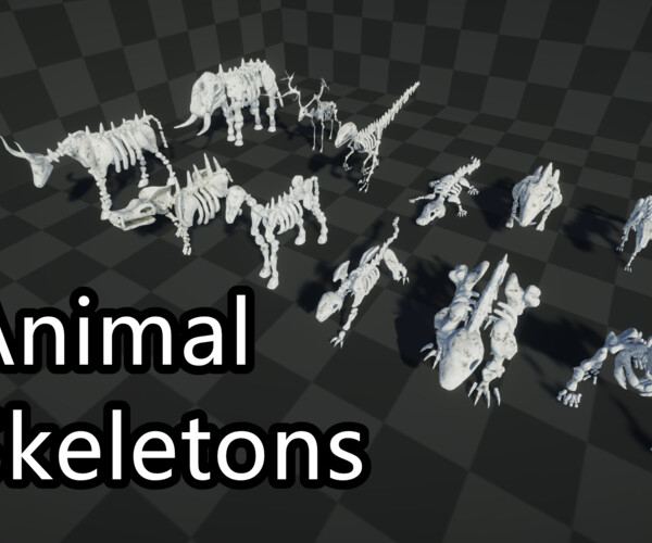 ArtStation - 3D Model - Animal Skeletons | Game Assets