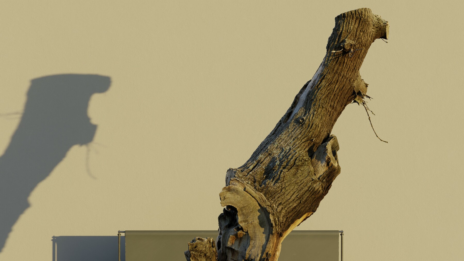 ArtStation - Dead Oak Photogrammetry Scan | Game Assets