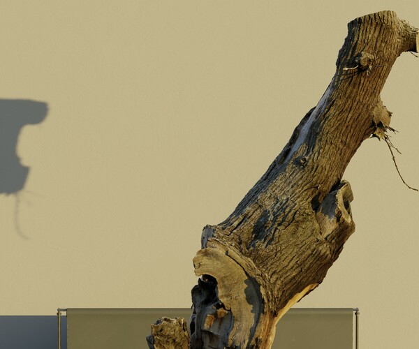 ArtStation - Dead Oak Photogrammetry Scan | Game Assets