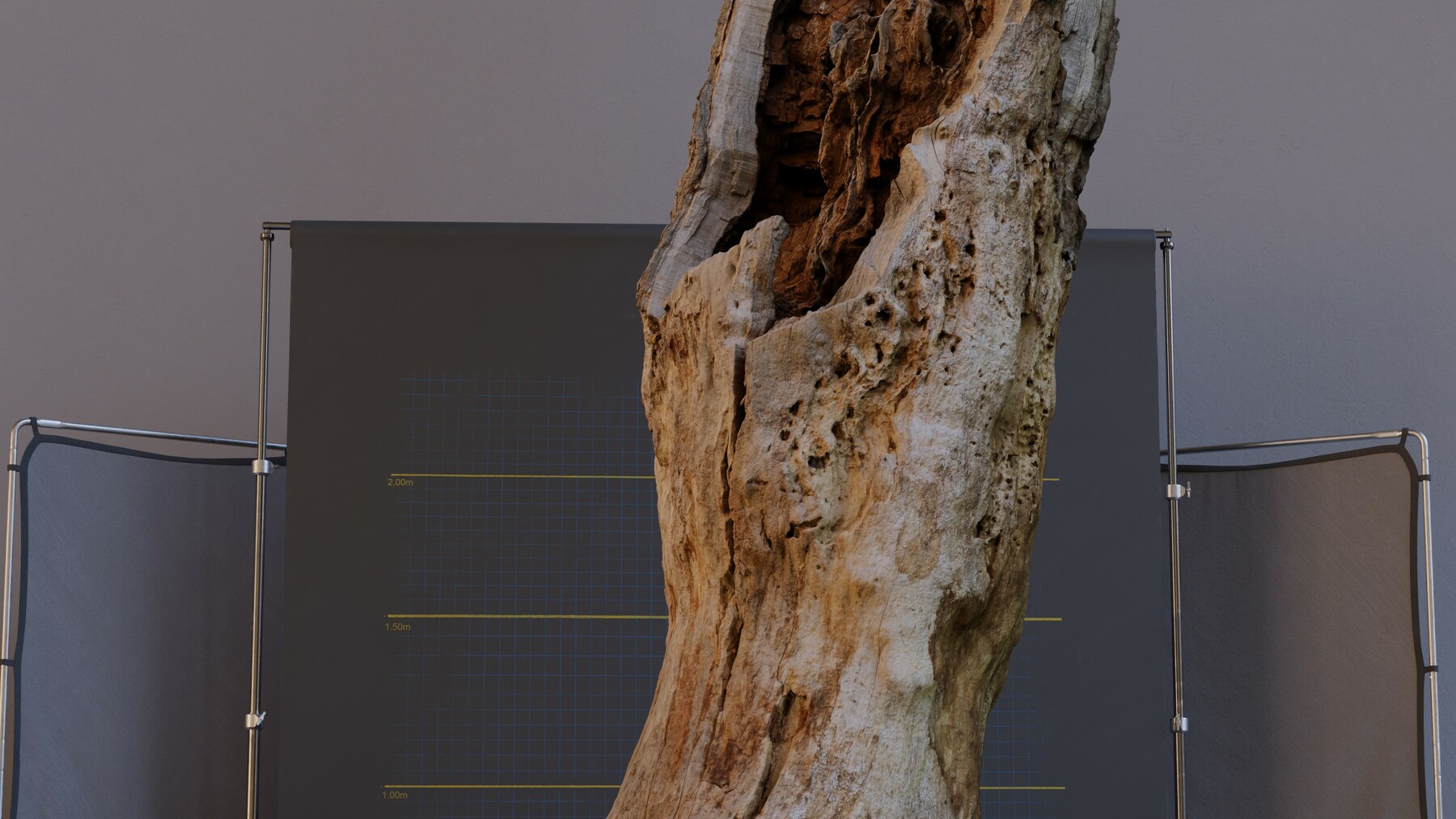 ArtStation - Dead Oak Photogrammetry Scan | Game Assets