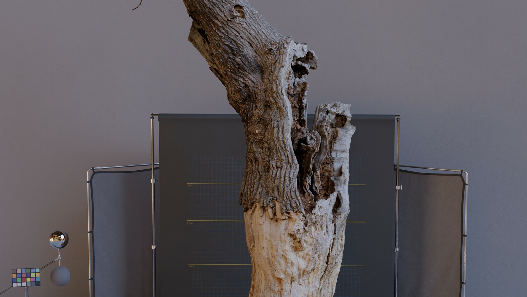 ArtStation - Dead Oak Photogrammetry Scan | Game Assets