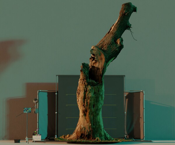 ArtStation - Dead Oak Photogrammetry Scan | Game Assets