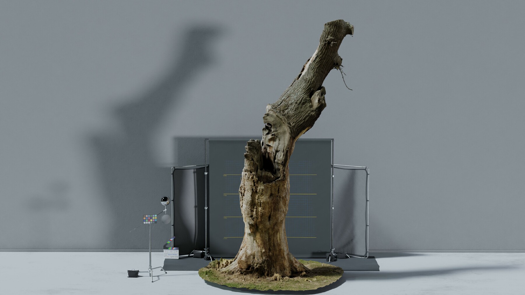 ArtStation - Dead Oak Photogrammetry Scan | Game Assets