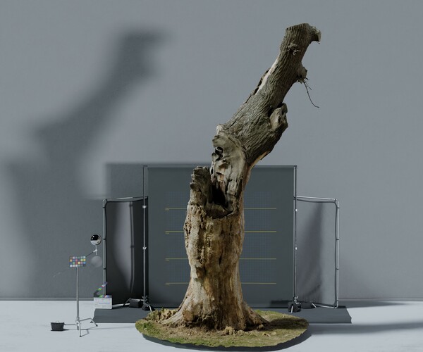 ArtStation - Dead Oak Photogrammetry Scan | Game Assets
