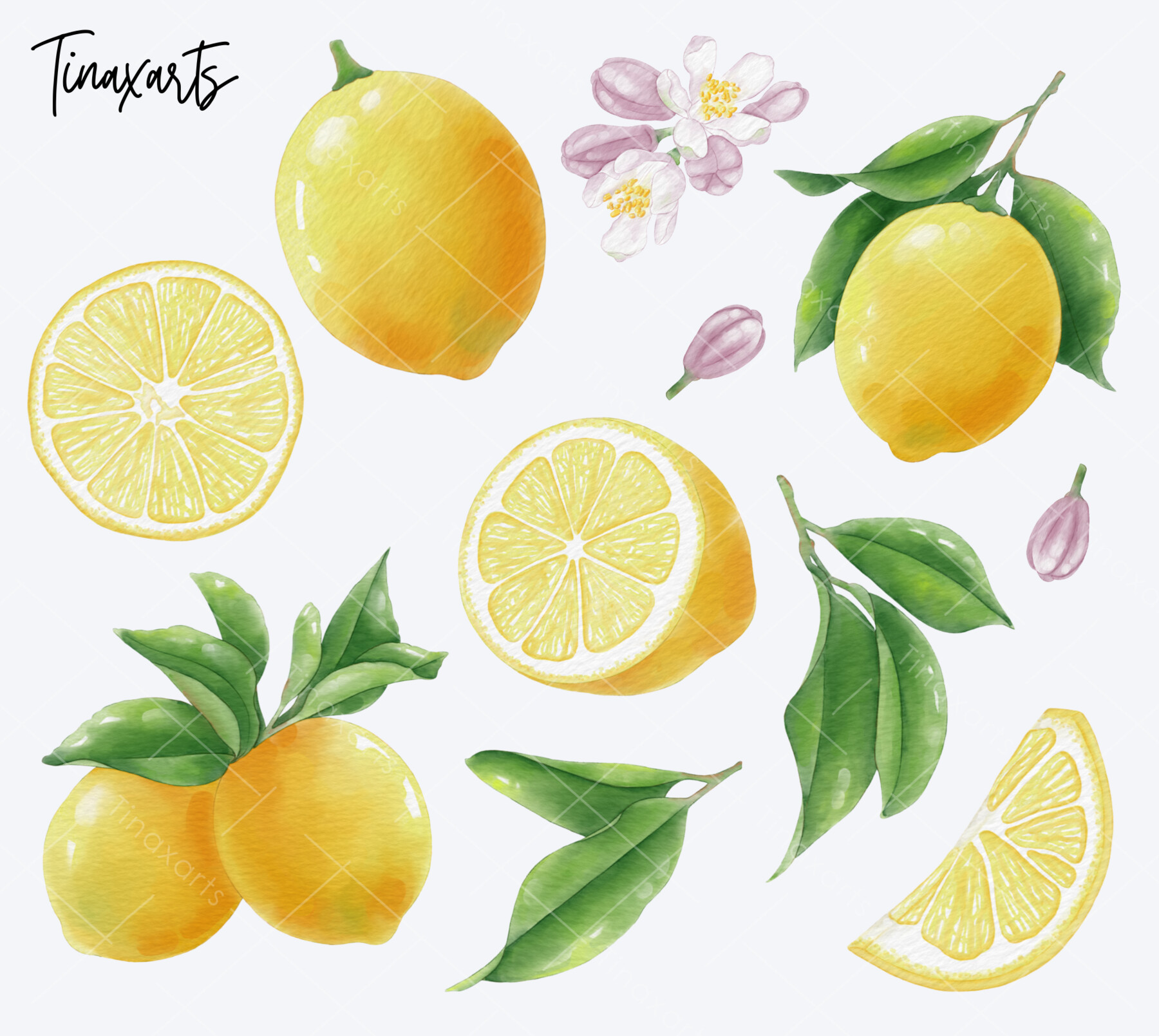 ArtStation - Lemon - watercolor clipart set | Artworks