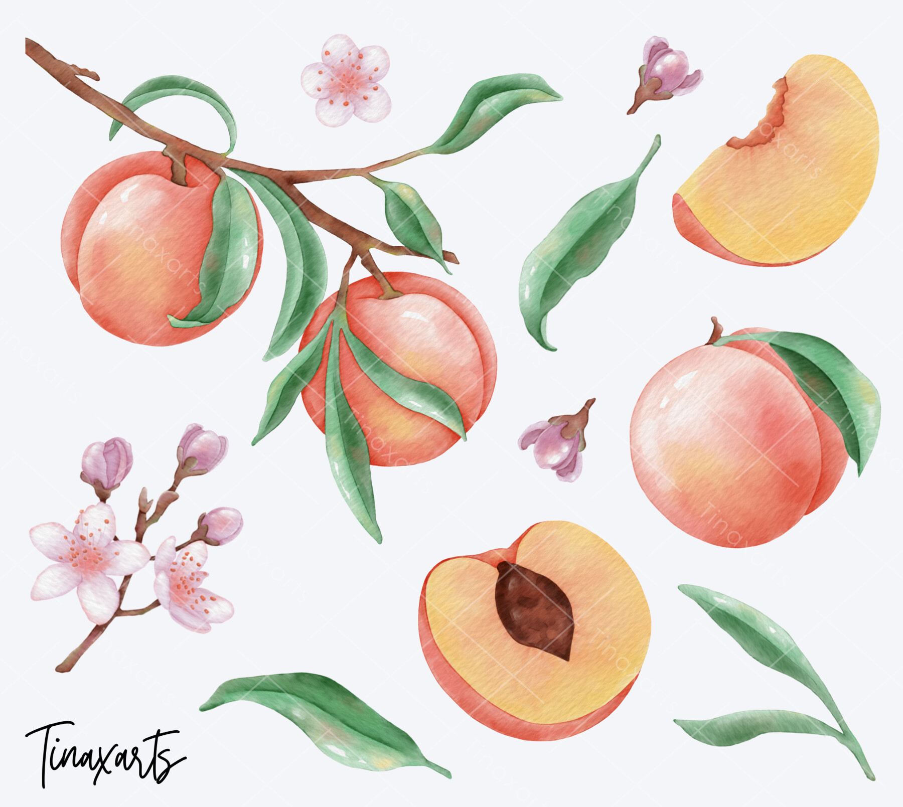 ArtStation - Peaches - watercolor clipart set | Artworks