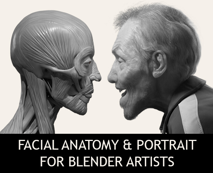 Victory 3D - Facial Anatomy & Character Portrait for Blender Artists