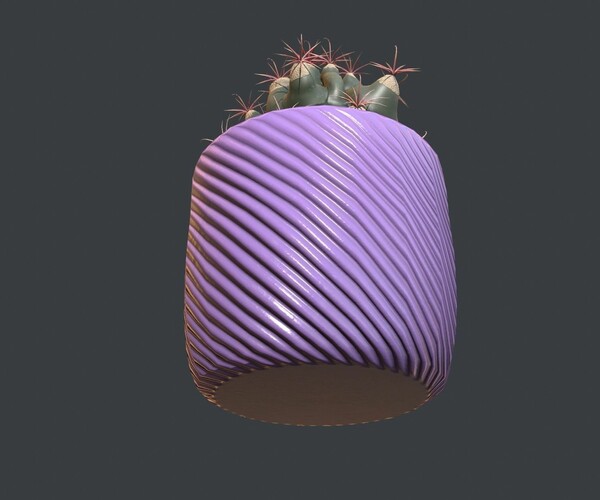 ArtStation - Ferocactus emori/Cactus | Game Assets