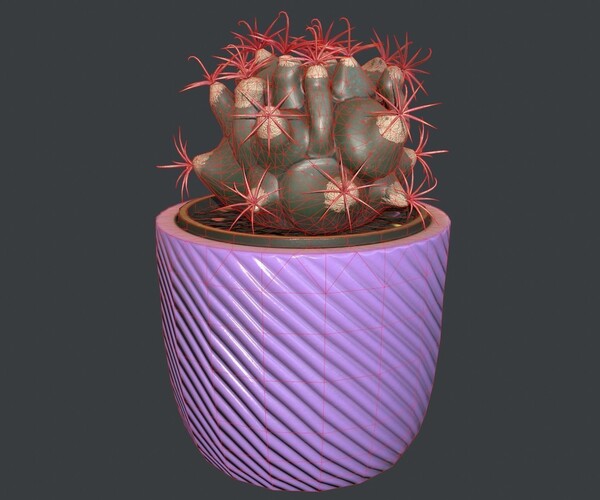 ArtStation - Ferocactus emori/Cactus | Game Assets