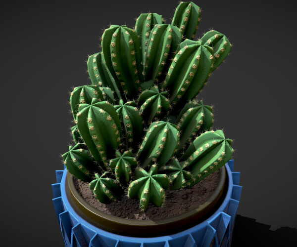 ArtStation - Cactus Cereus peruvianus florida | Game Assets