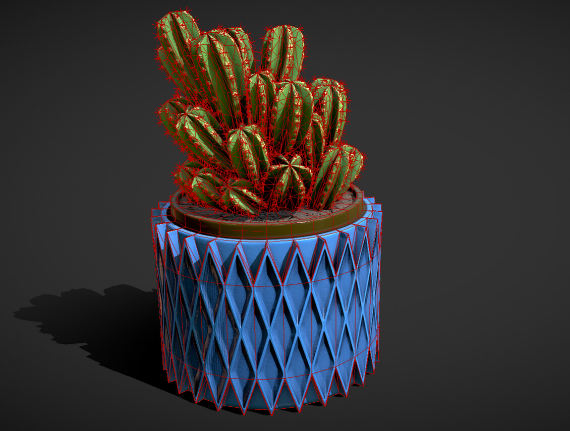 ArtStation - Cactus Cereus peruvianus florida | Game Assets