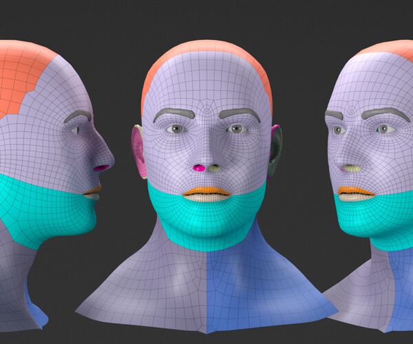 ArtStation - Basemesh Male and Female Shapes | Resources