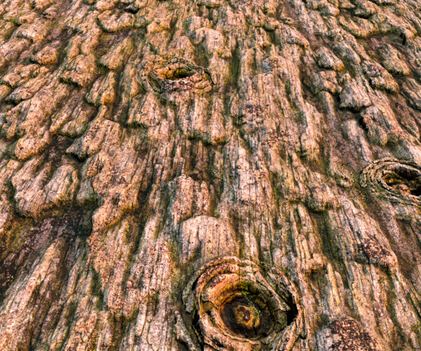 ArtStation - Tree Trunk Graph Pack | Resources
