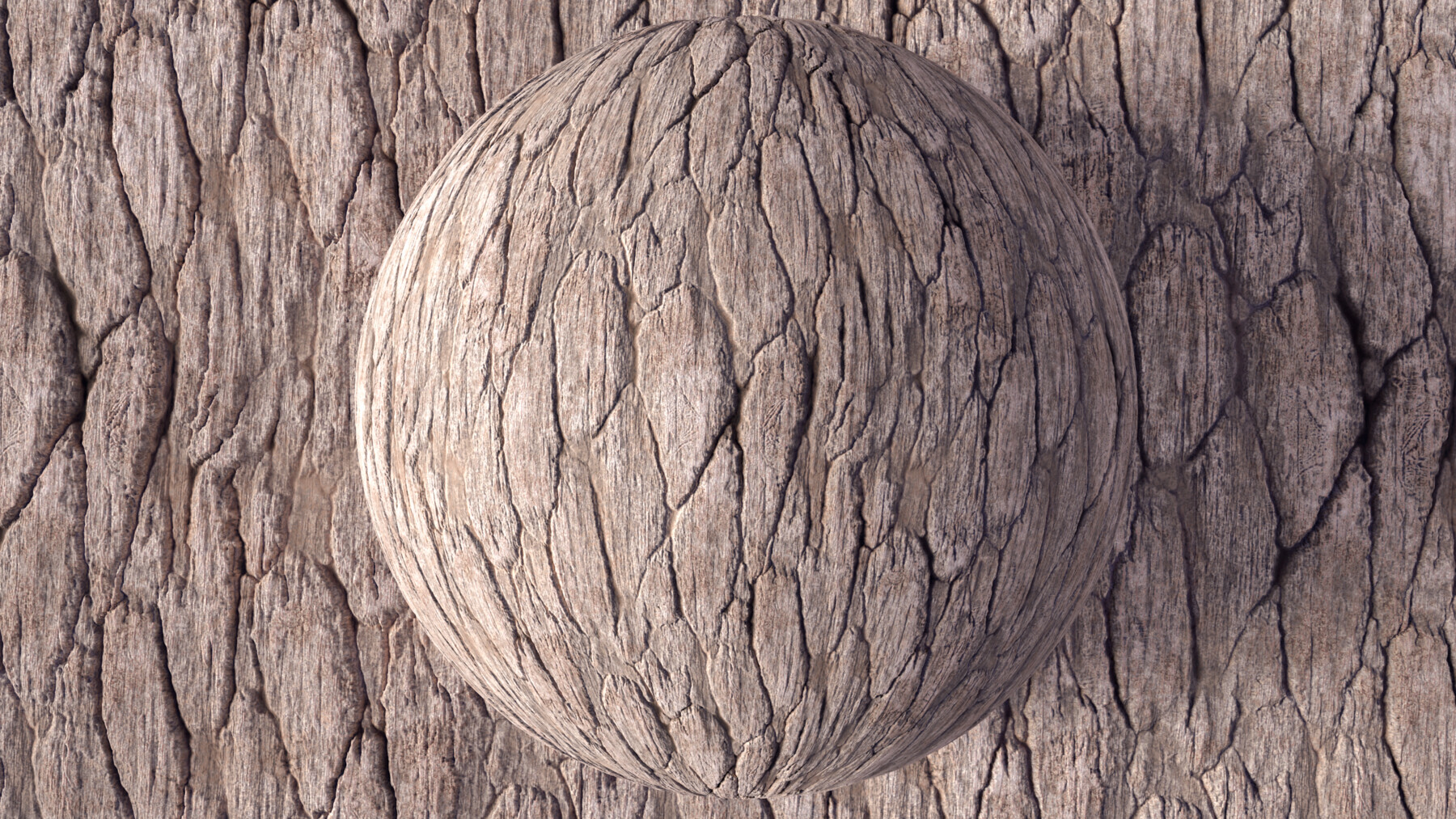ArtStation - Tree Trunk Graph Pack | Resources