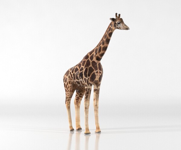 ArtStation - Giraffe | Game Assets