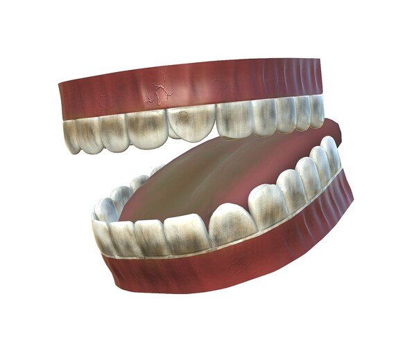 ArtStation - Teeth - Mouth Interior Low-poly | Resources