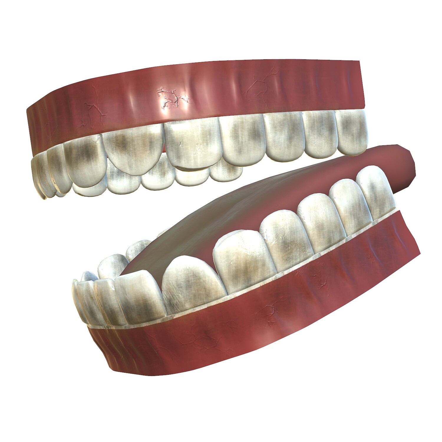 ArtStation - Teeth - Mouth Interior Low-poly | Resources