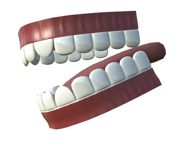 ArtStation - Teeth - Mouth Interior Low-poly | Resources