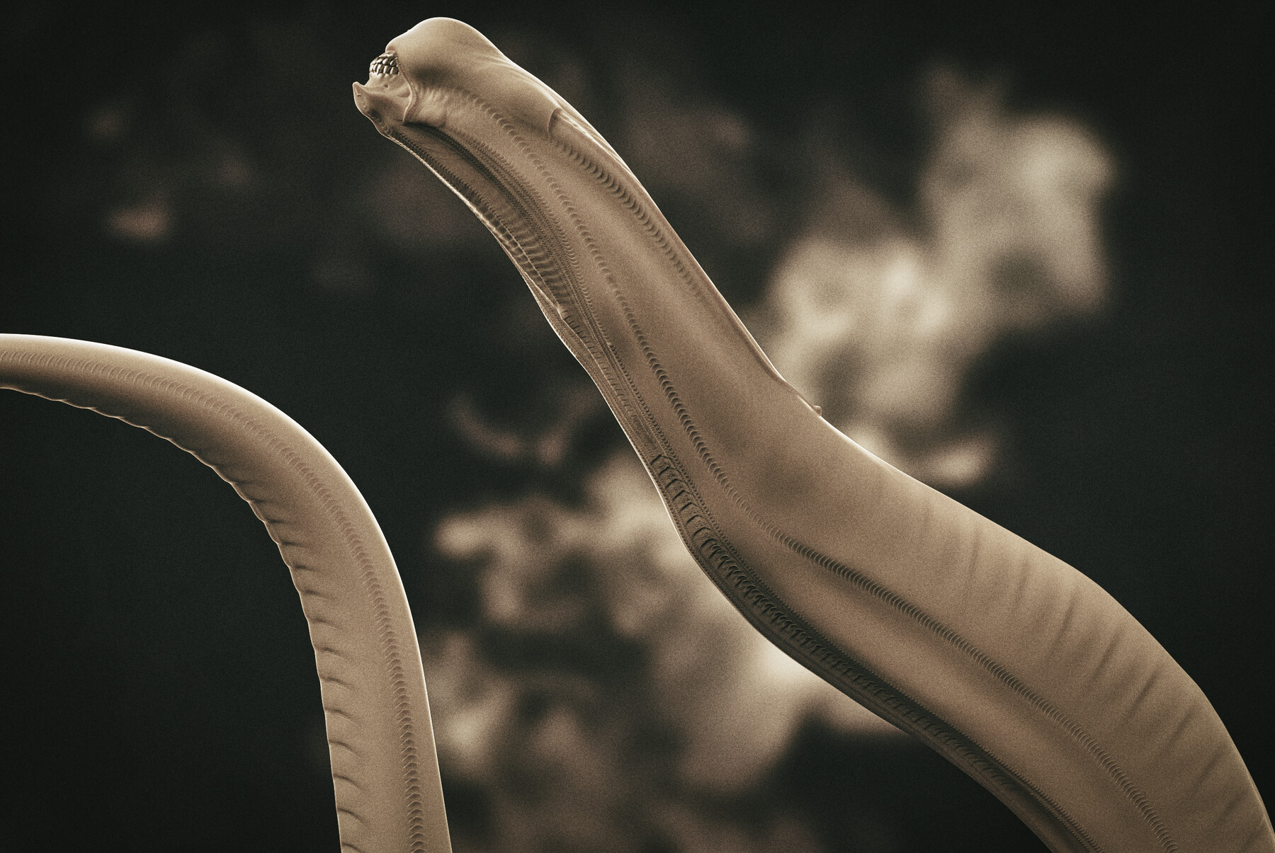 ArtStation - BIOMECHA ZBRUSH | Tutorials