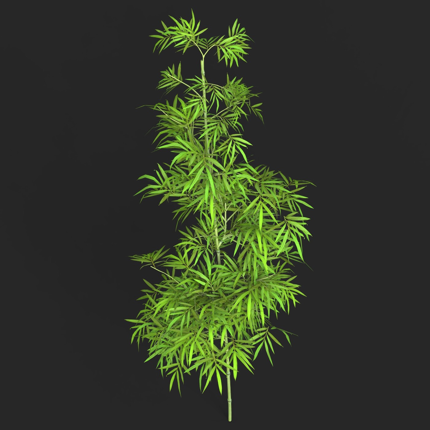 ArtStation - Realistic Game Ready Bamboo Tree 02 | Resources